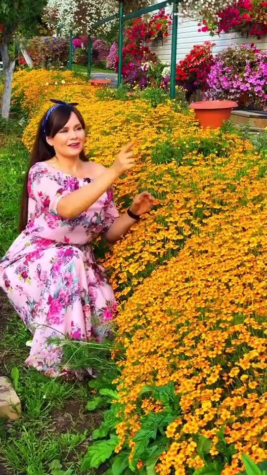 Не знаете какие цветы посадить на участке Сажайте бархатцы