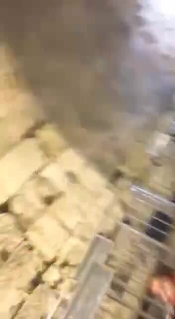 Sabaya с языка палестинцев это означает наложницы или секс рабыни