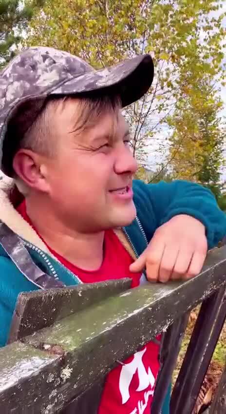 Куриный Переполох