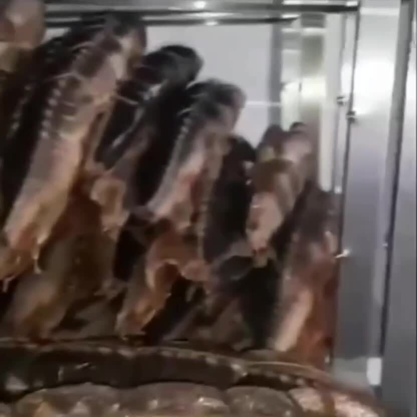 🐟 В Москве на одном из комбинатов изъяли 3 тонны красной икры Также ...