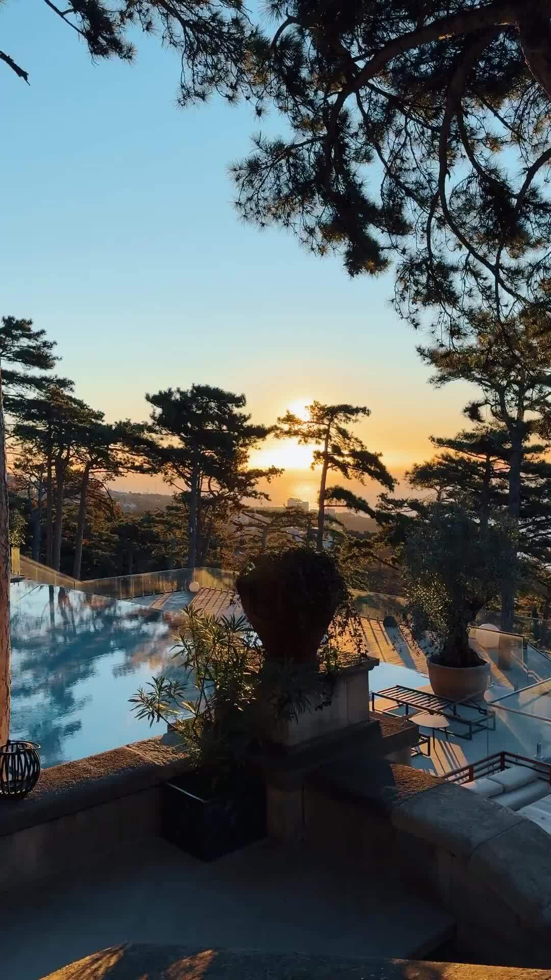 Бутик-отель Pallasa | Виталий Борисович, 23 марта 2024