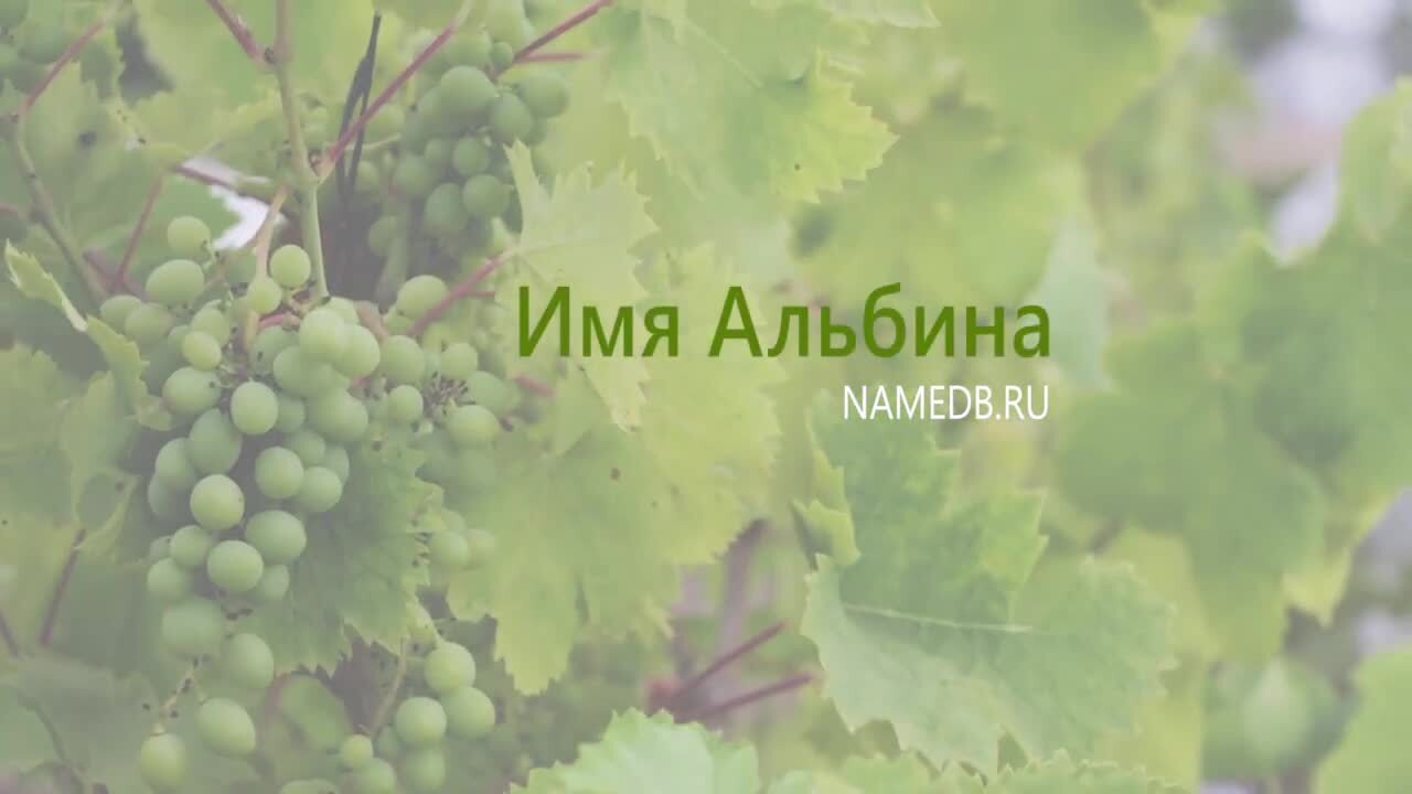 Значение имени Альбина | Нина Сергеевна, 22 апреля 2024