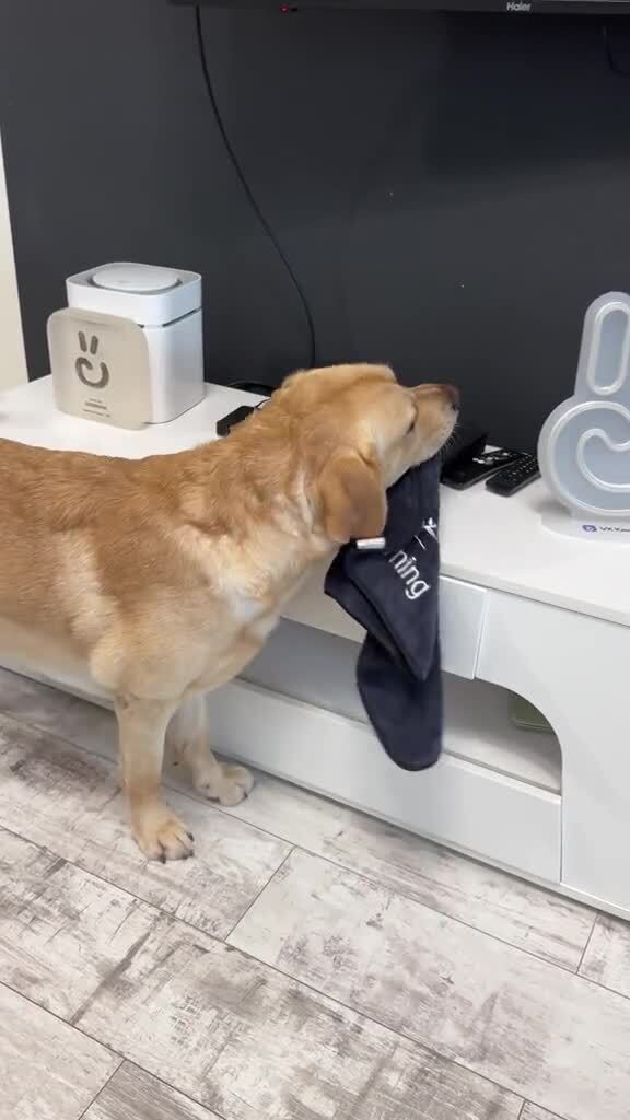 Дэни и Мэни помощники.