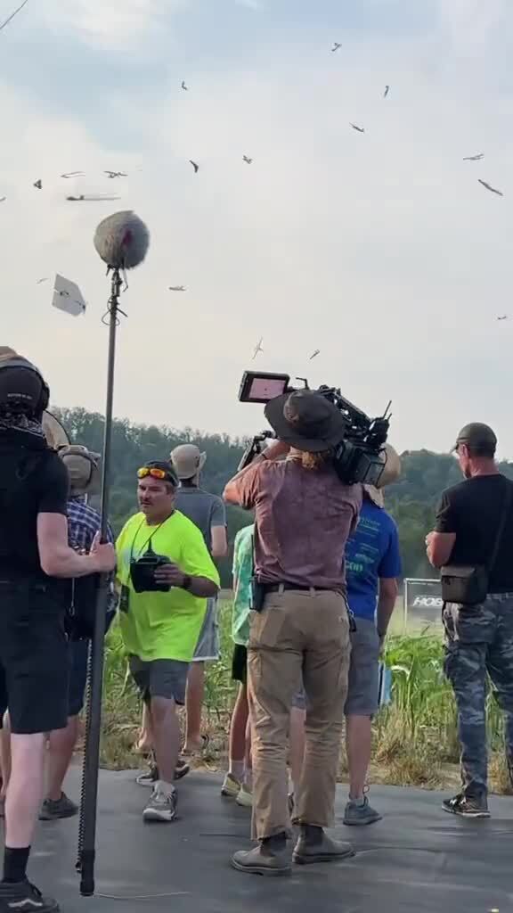 ️ Обстановка на Flite Fest 2024