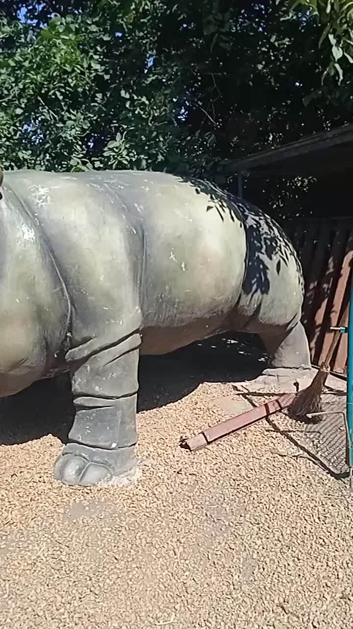 😍🦏🦓Необыкновенные фигуры животных и фонтан в зоопарке в селе ...